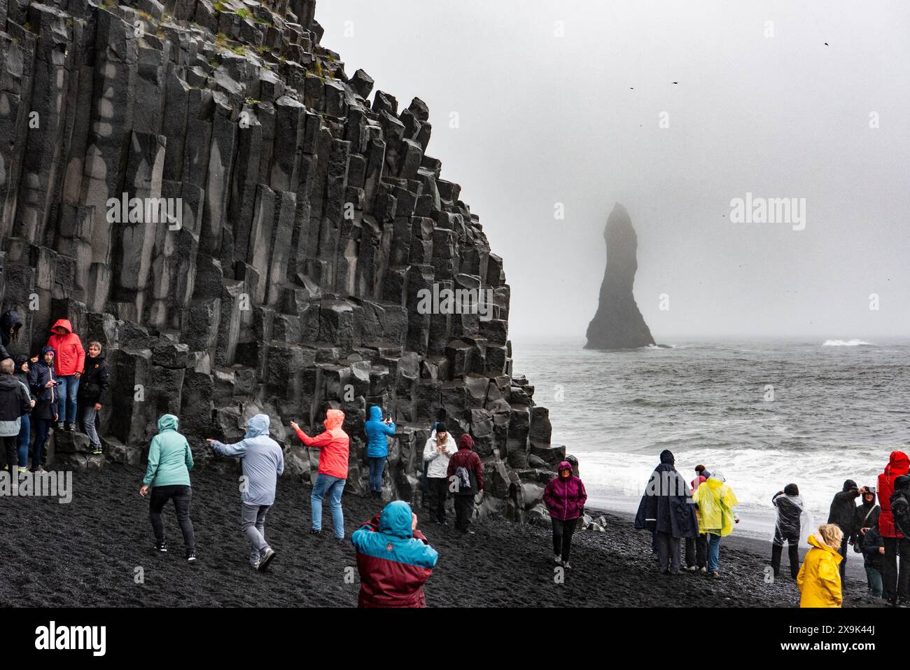 Icelandic ecosystem hi-res stock photography and images - Alamy