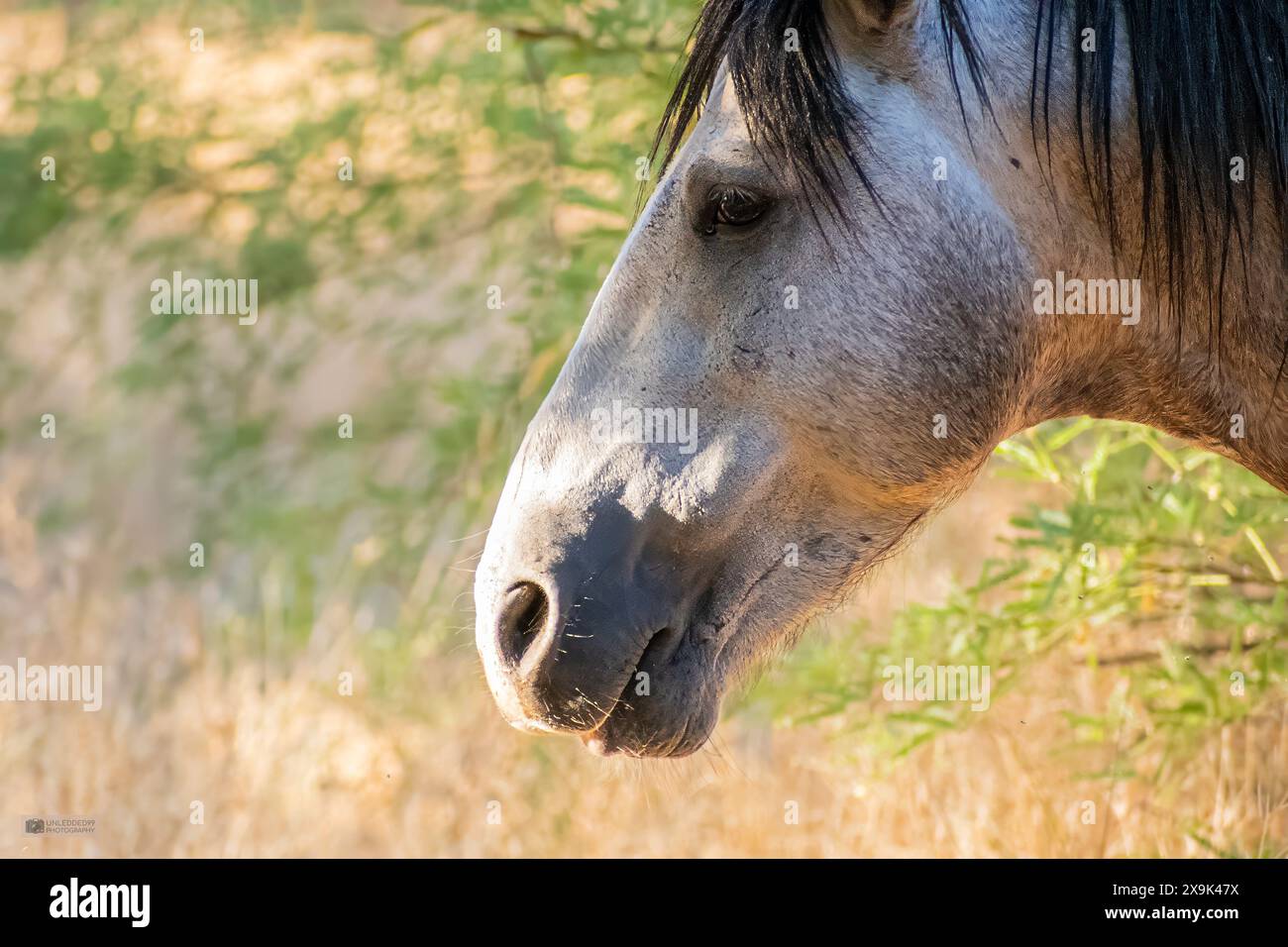 Looking out across river hi-res stock photography and images - Alamy