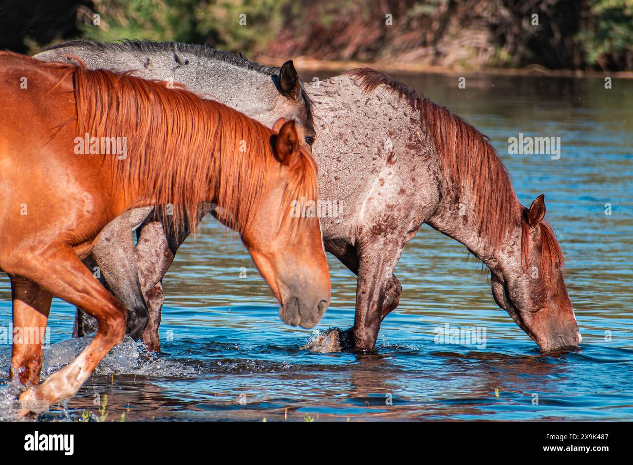 Going Out For A Drink Stock Photo - Alamy