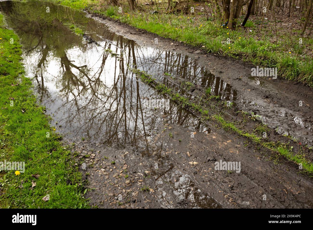 An afternoon heavy rain storm created a large puddle that fills a low ...