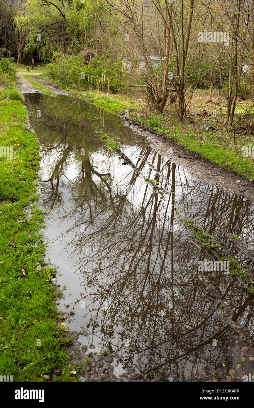 An afternoon heavy rain storm created a large puddle that fills a low ...