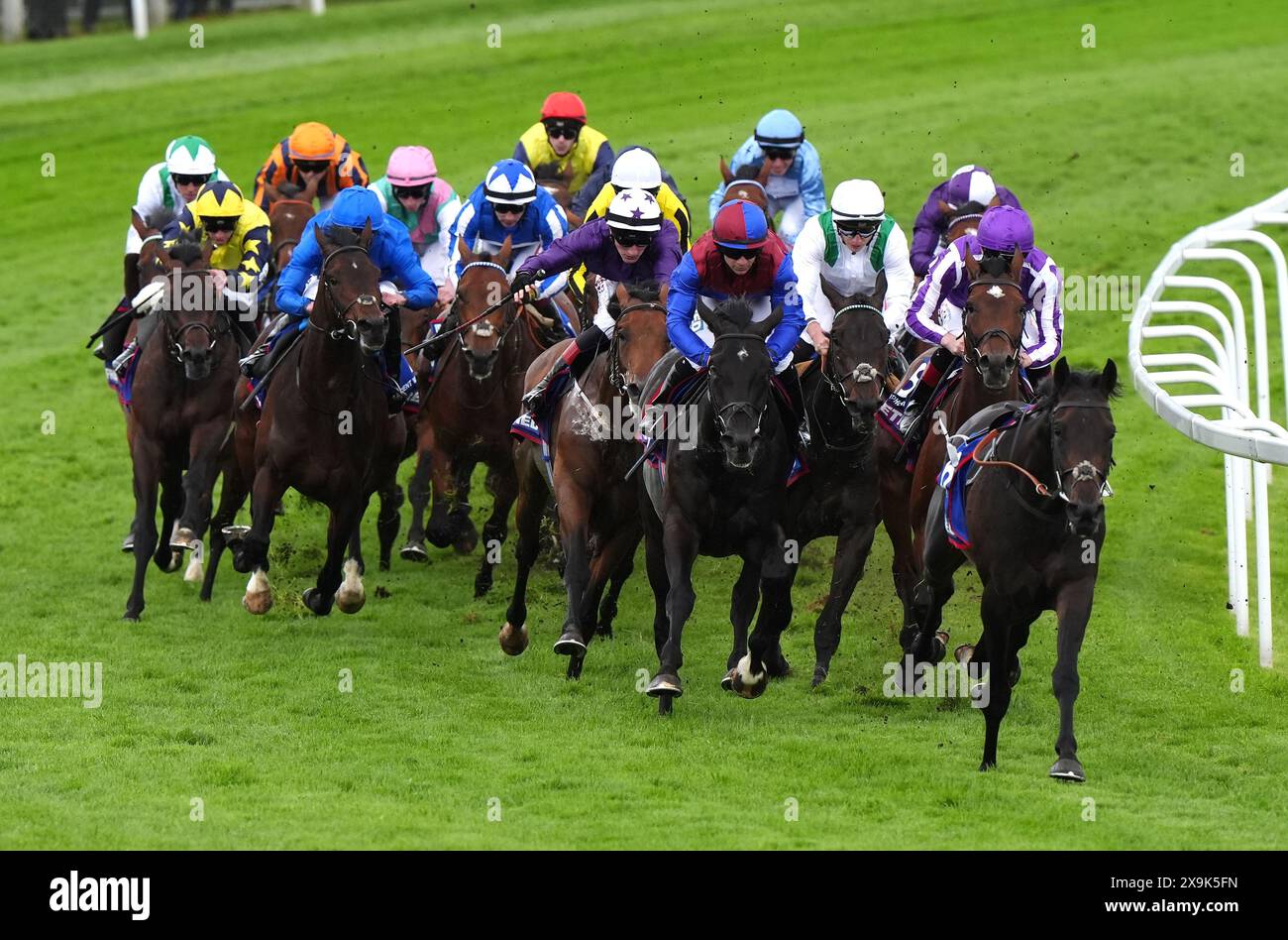 Runners and riders in the Betfred Derby on derby day of The Betfred ...