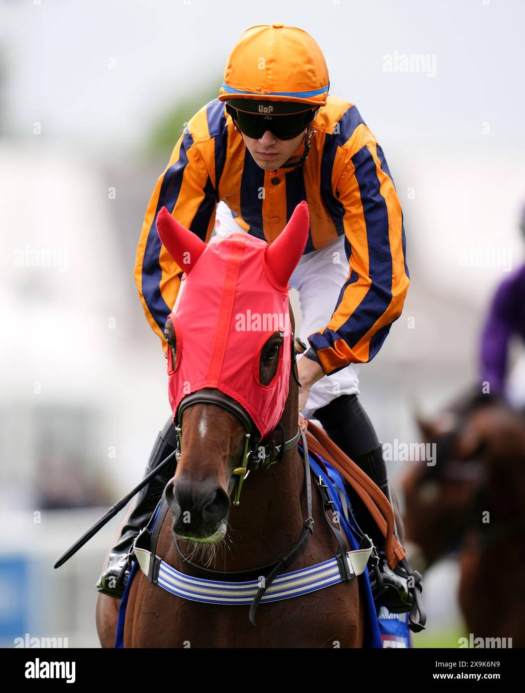 Dancing Gemini and Dylan Browne McMonagle on derby day of The Betfred ...