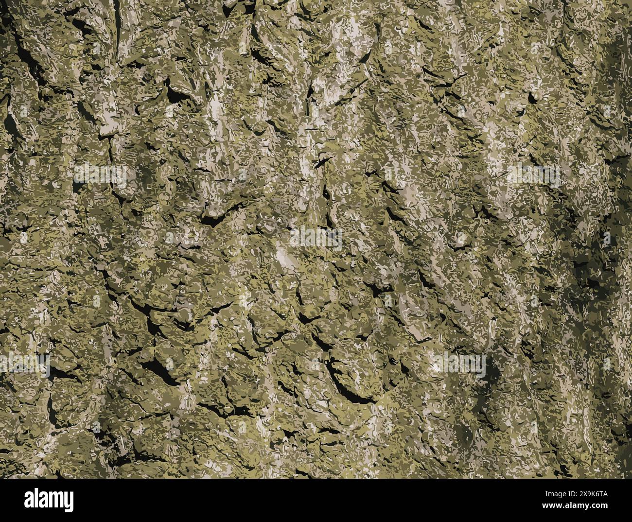 Vector illustration of Paulownia tomentosa tree bark. Princess or ...