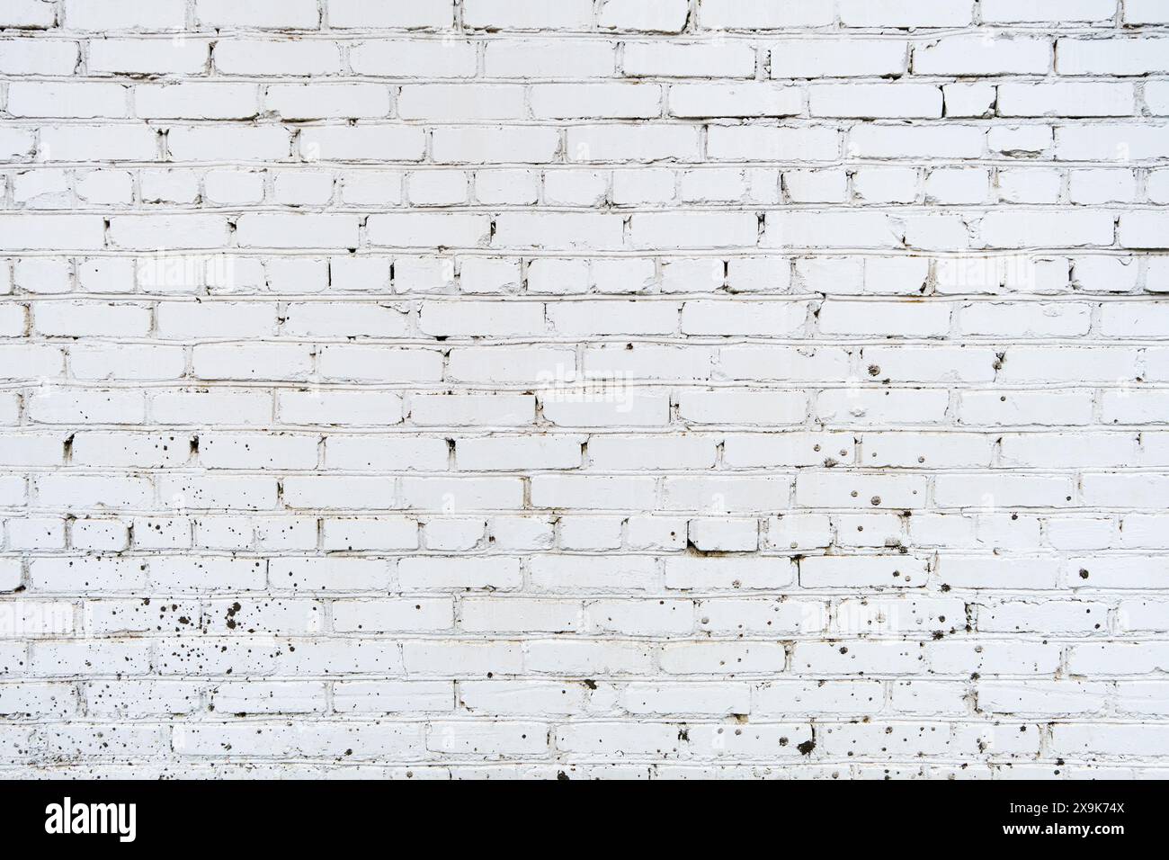 Brick old white wall texture background. Green plants framing old brick ...