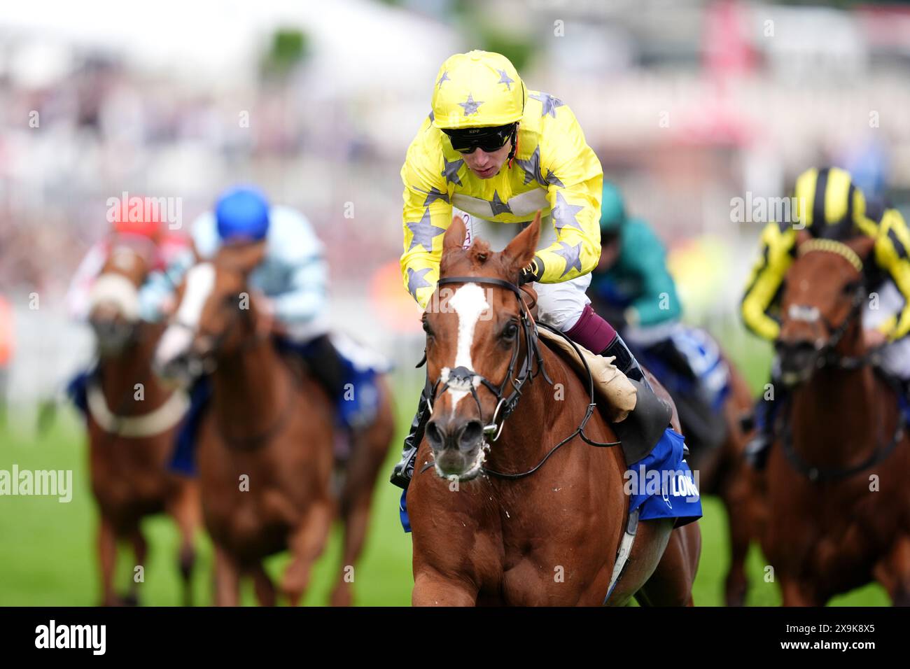 Relentless voyager horse hi-res stock photography and images - Alamy