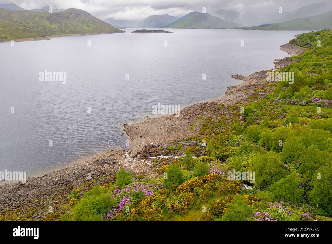 Kinloch Hourn Scotland Loch Quoich mountains and mist yellow gorse and ...
