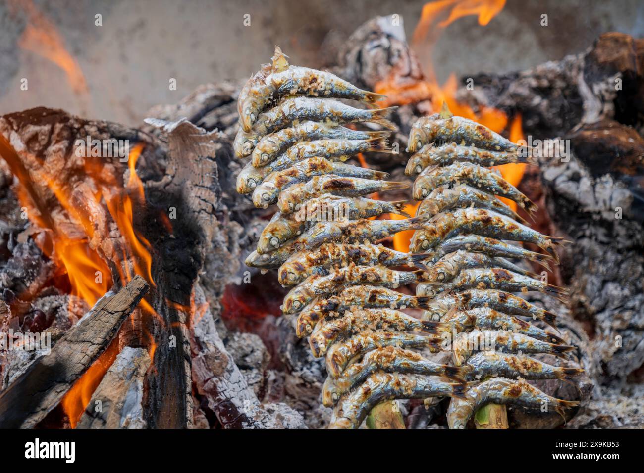 Grilled sardines, known as Espetos, are a traditional Spanish cuisine ...