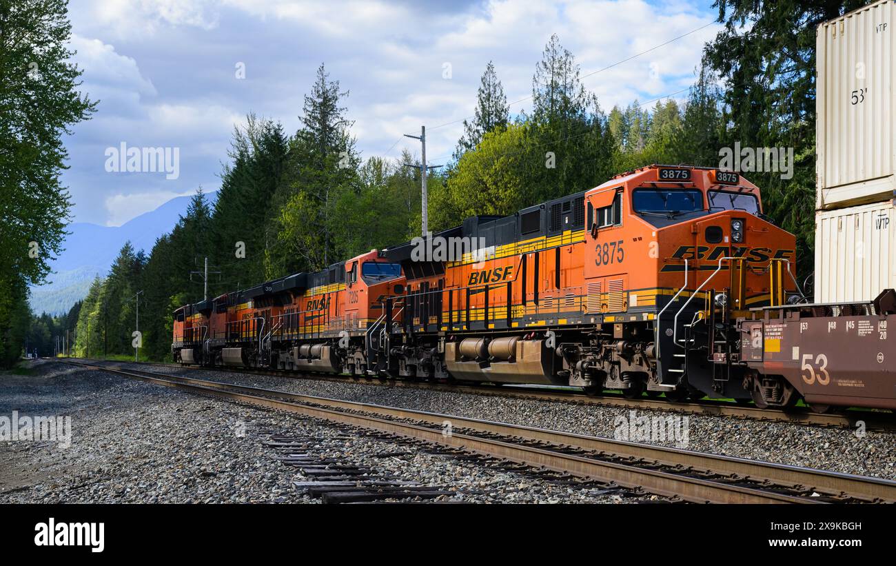 Baring, WA, USA - May 1, 2024; BNSF intermodal Z train with four orange mainline engines in ...