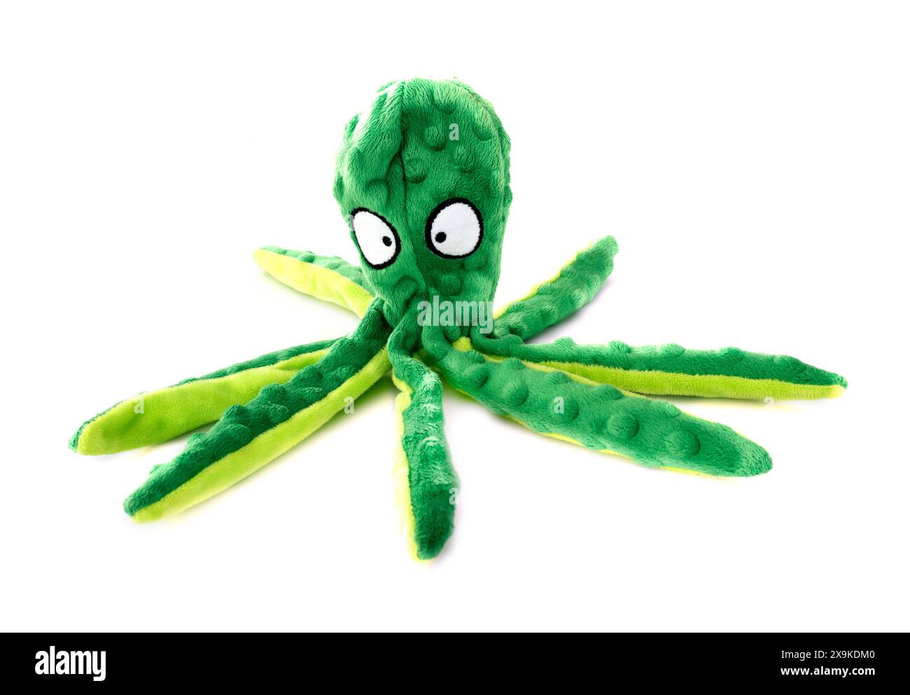 green octopus in front of white background Stock Photo - Alamy