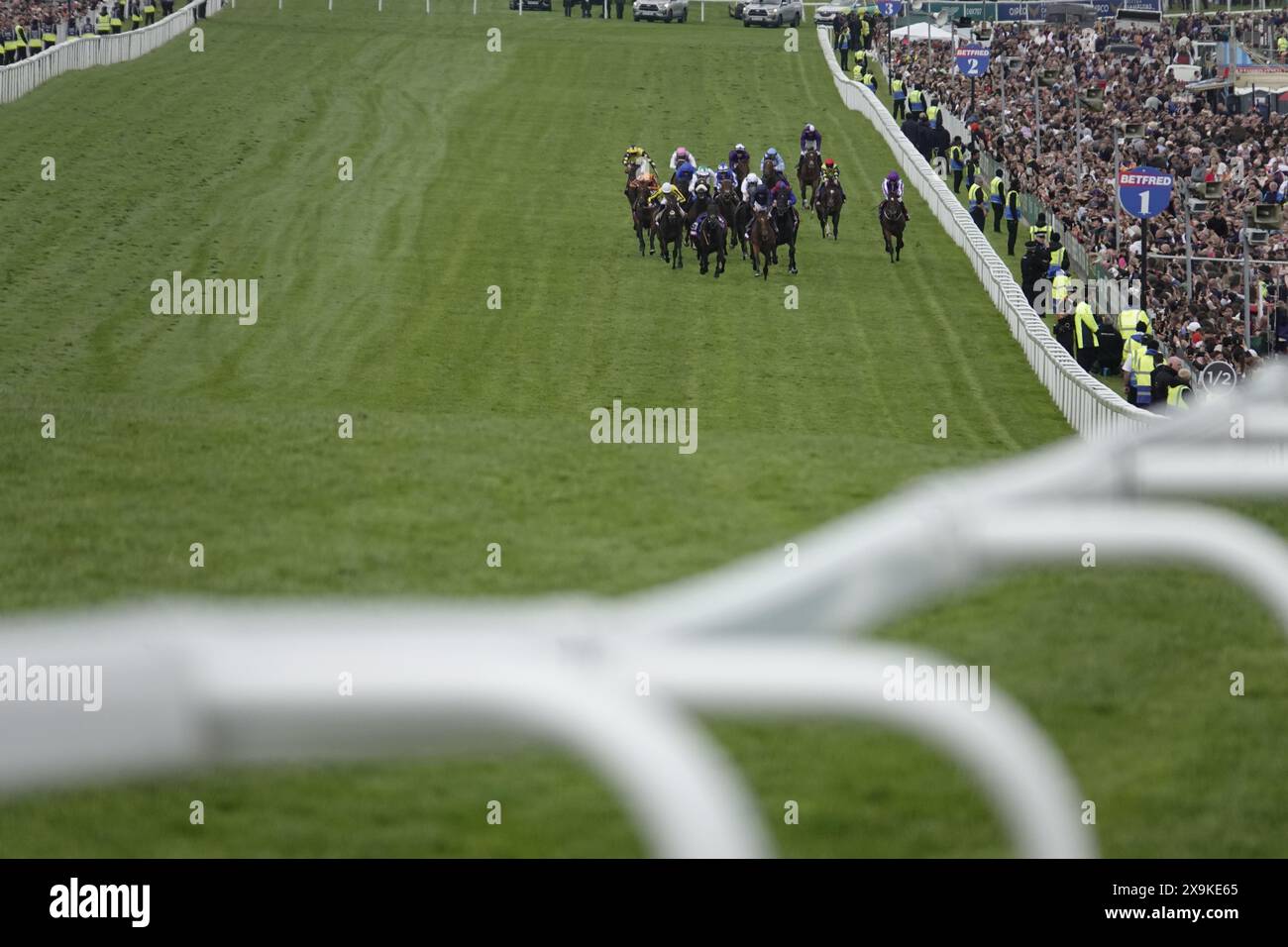 Epsom, Surrey, UK. 1st June, 2024. The full field - minus one jockey, P ...