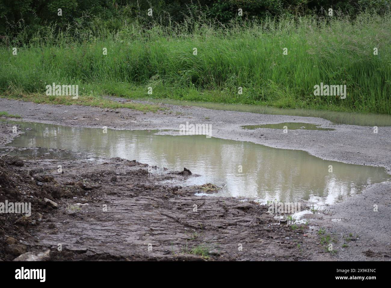 large Puddle on what is actually a Paved path Stock Photo - Alamy