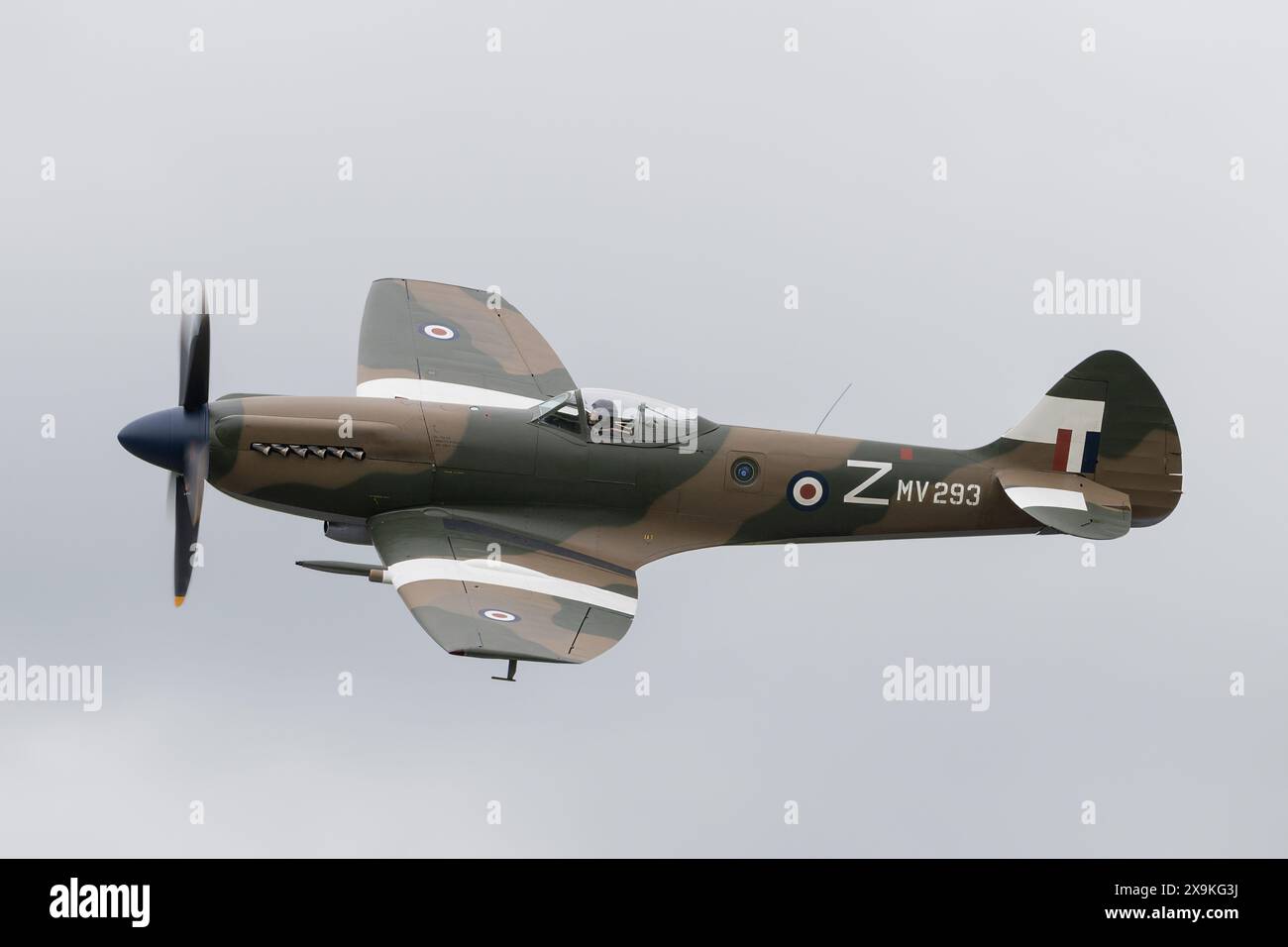 Supermarine Spitfire FR Mk XIV performs a pass, during the Duxford ...