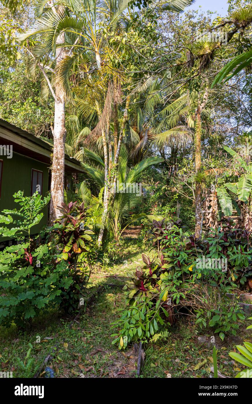 Scenic view of an ecolodge along San Juan river at the border of Costa ...