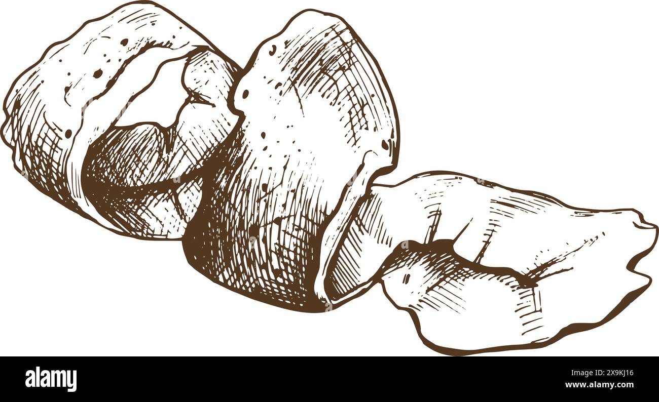 Peeling white potatoes with brown skin in a spiral shape. Graphic ...