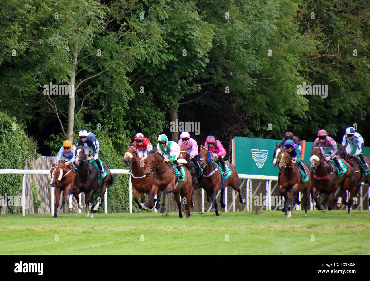 Epsom Downs Surrey, UK. 1st June, 2024. The runners and riders come out ...