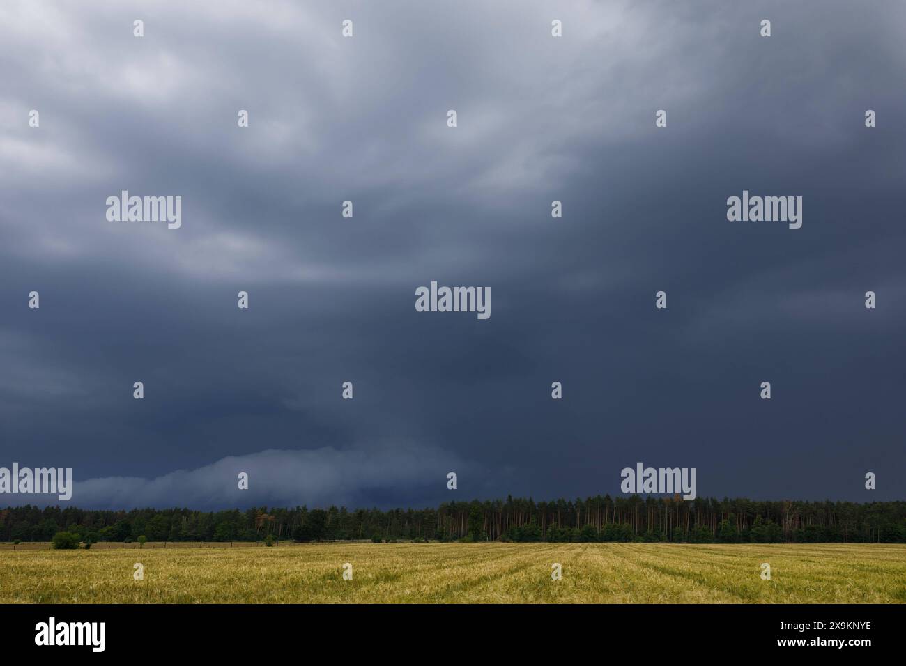 Regenwetter und Unwettergefahr DEU/Deutschland/Brandenburg/Lieske, 01. ...