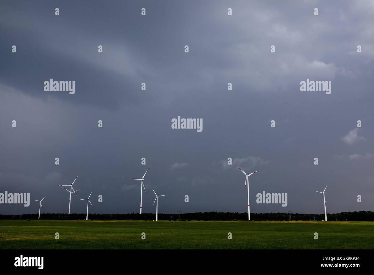 Regenwetter und Unwettergefahr DEU/Deutschland/Brandenburg/Lieske, 01. ...