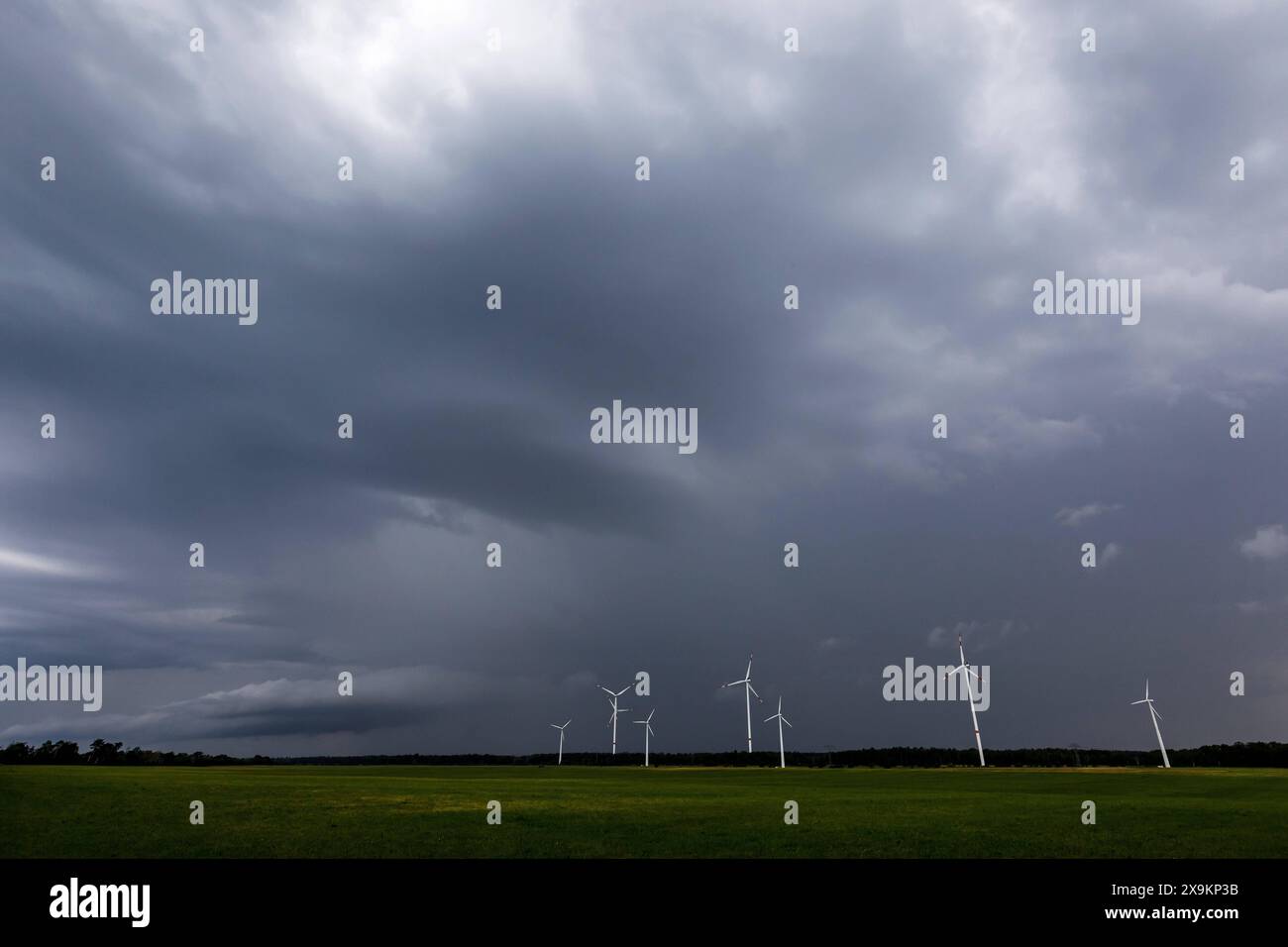 Regenwetter und Unwettergefahr DEU/Deutschland/Brandenburg/Lieske, 01. ...
