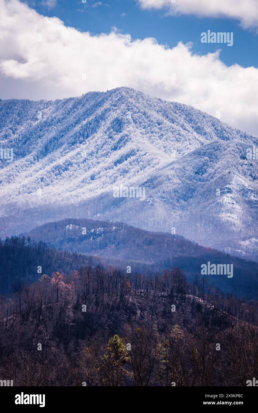 Snow on the Great Smoky Mountains in Sevierville TN Stock Photo - Alamy