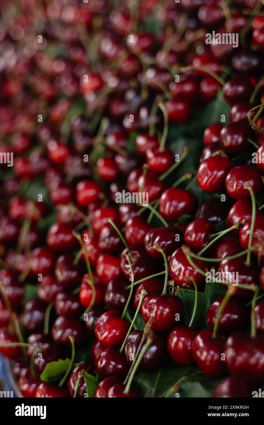 fresh young cherries on the counter of a Turkish bazaar Stock Photo - Alamy
