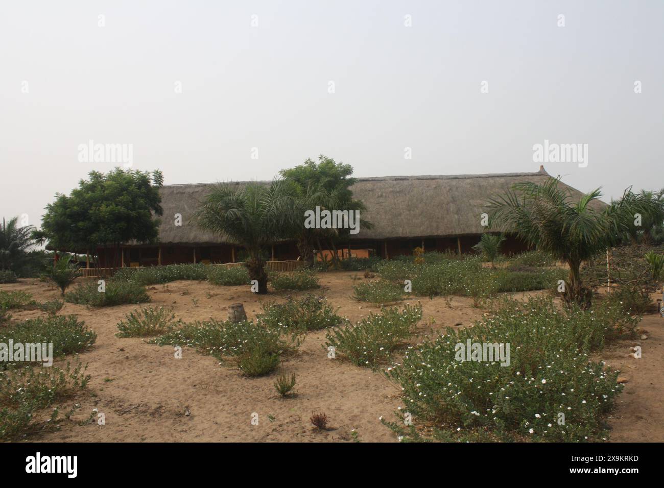 A traditional Ghanaian house with a thatched roof, surrounded by lush ...
