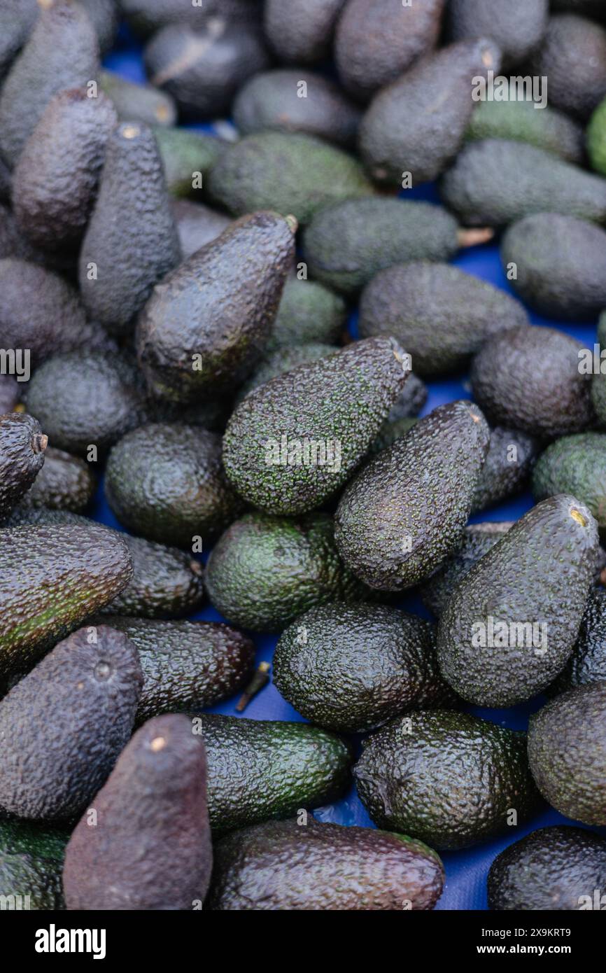beautiful fresh avocados on a market stall Stock Photo - Alamy