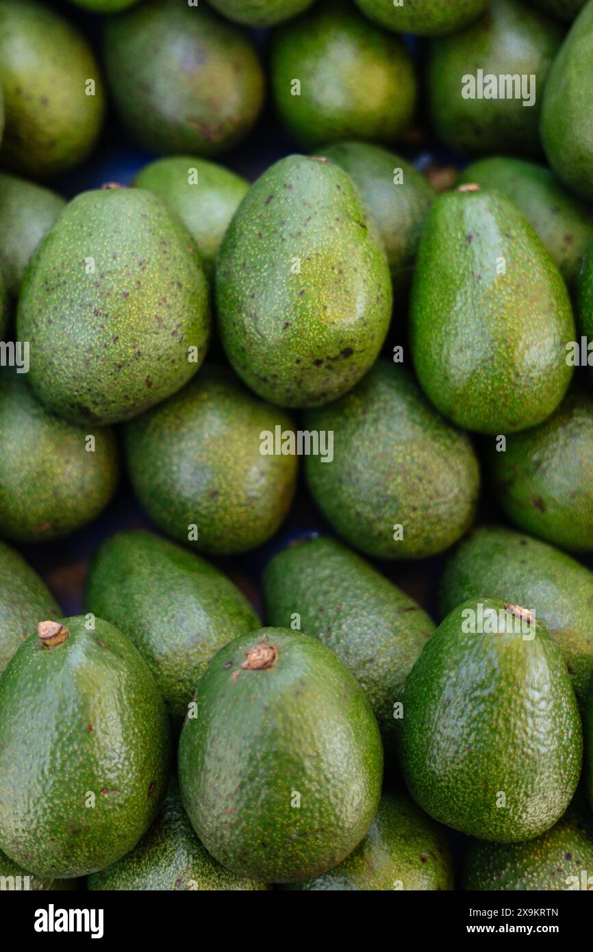 beautiful fresh avocados on a market stall Stock Photo - Alamy