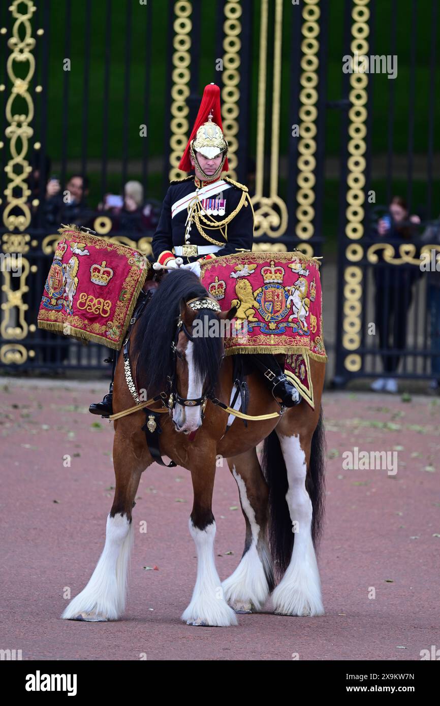 London, UK. 1st June, 2024. The Major General’s Review of the Trooping ...