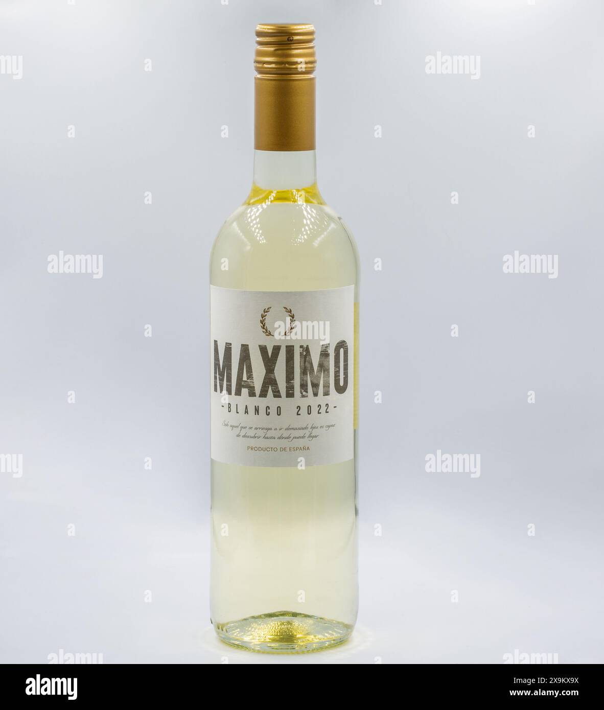 Kyiv, Ukraine - August 10, 2023: Studio shoot of Maximo Bianco 2022 ...