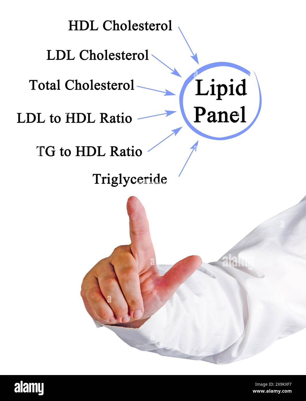 what Parameters Are Shown in Lipid Panel Stock Photo - Alamy