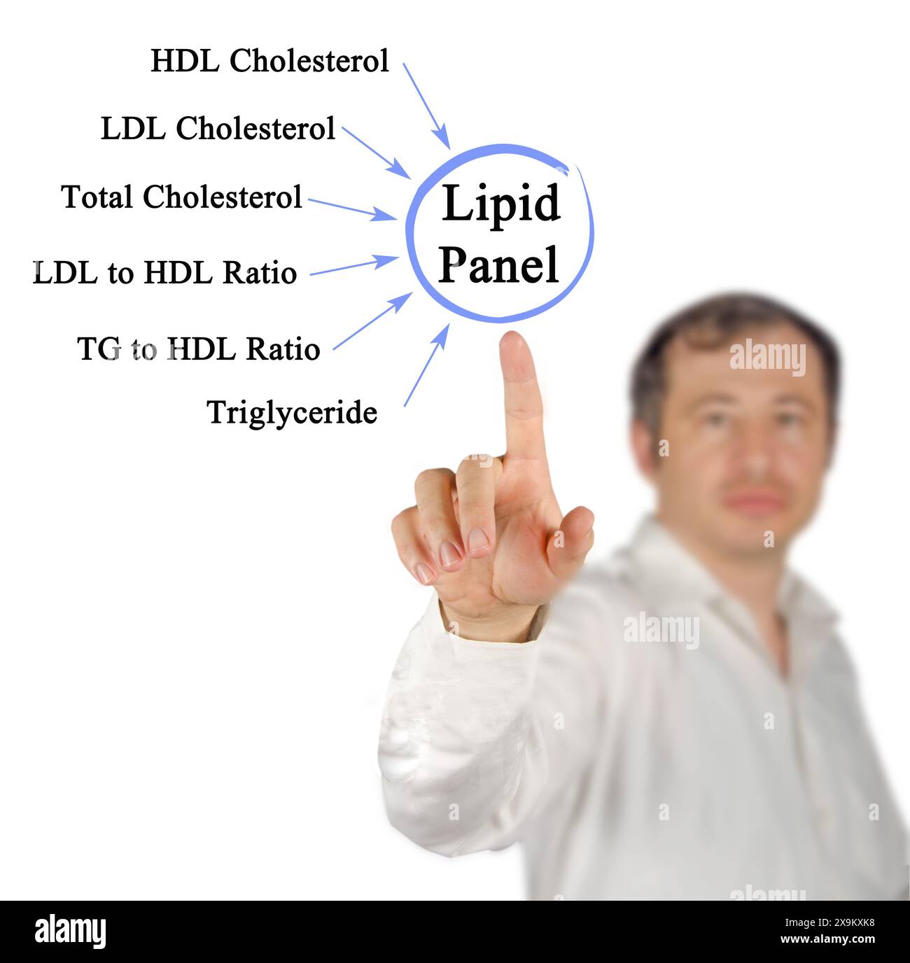 what Parameters Are Shown in Lipid Panel Stock Photo - Alamy