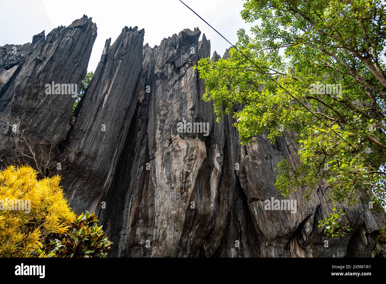 Explore Yana Caves in Karnataka, India—a natural wonder of limestone ...