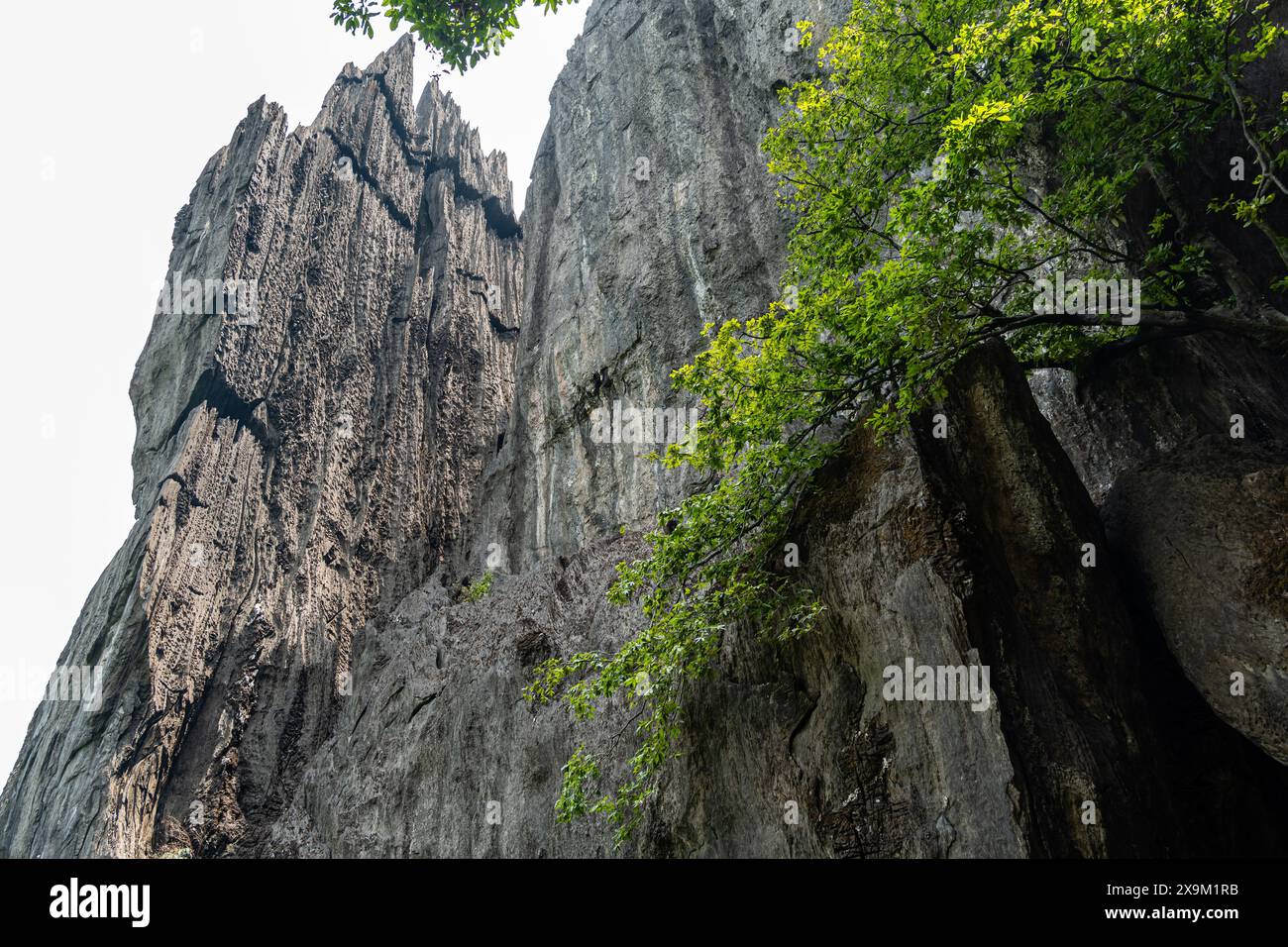 Explore Yana Caves in Karnataka, India—a natural wonder of limestone ...
