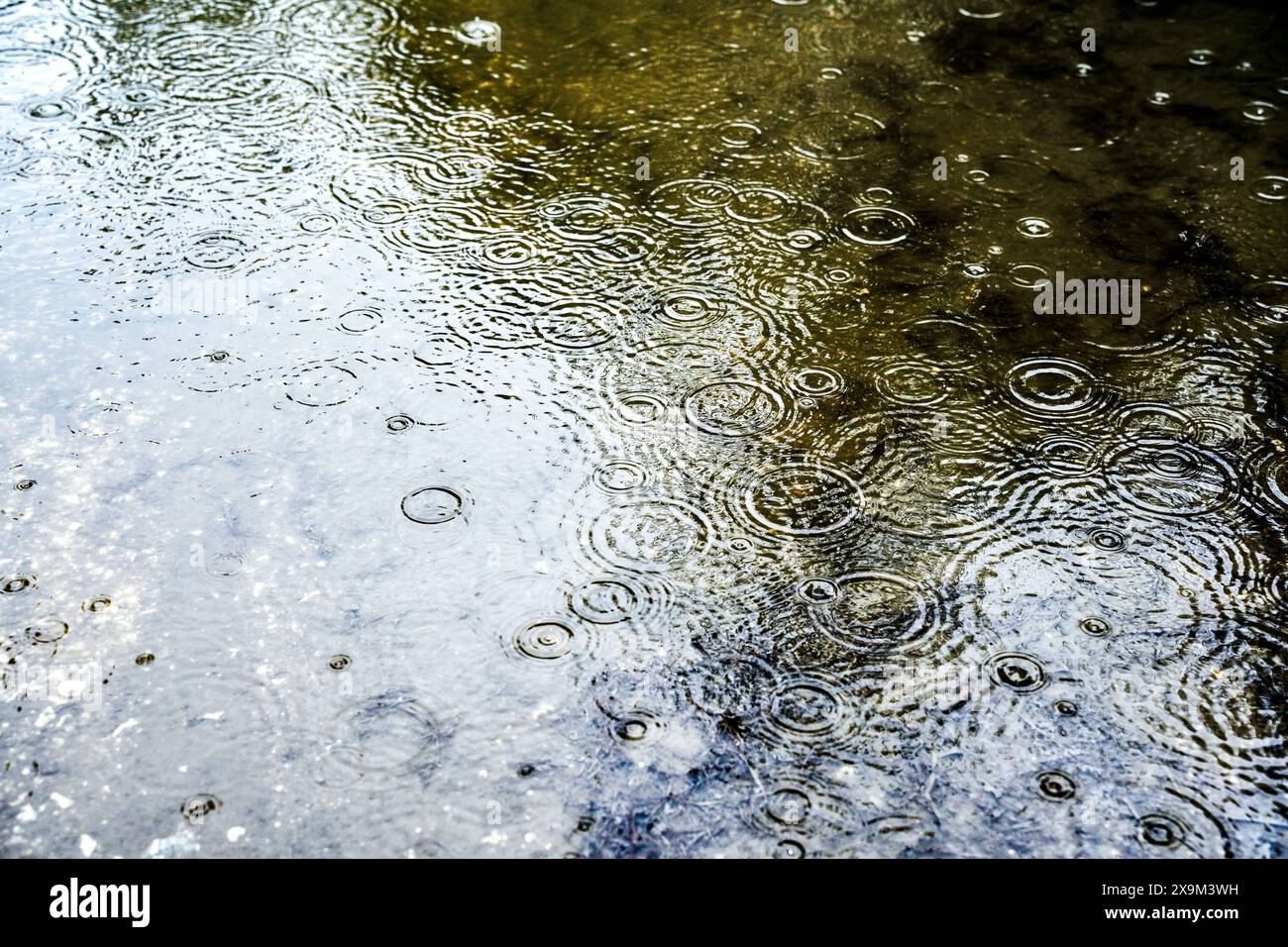 Gersthofen, Bavaria - 01 June 2024: Water puddle full of raindrops ...