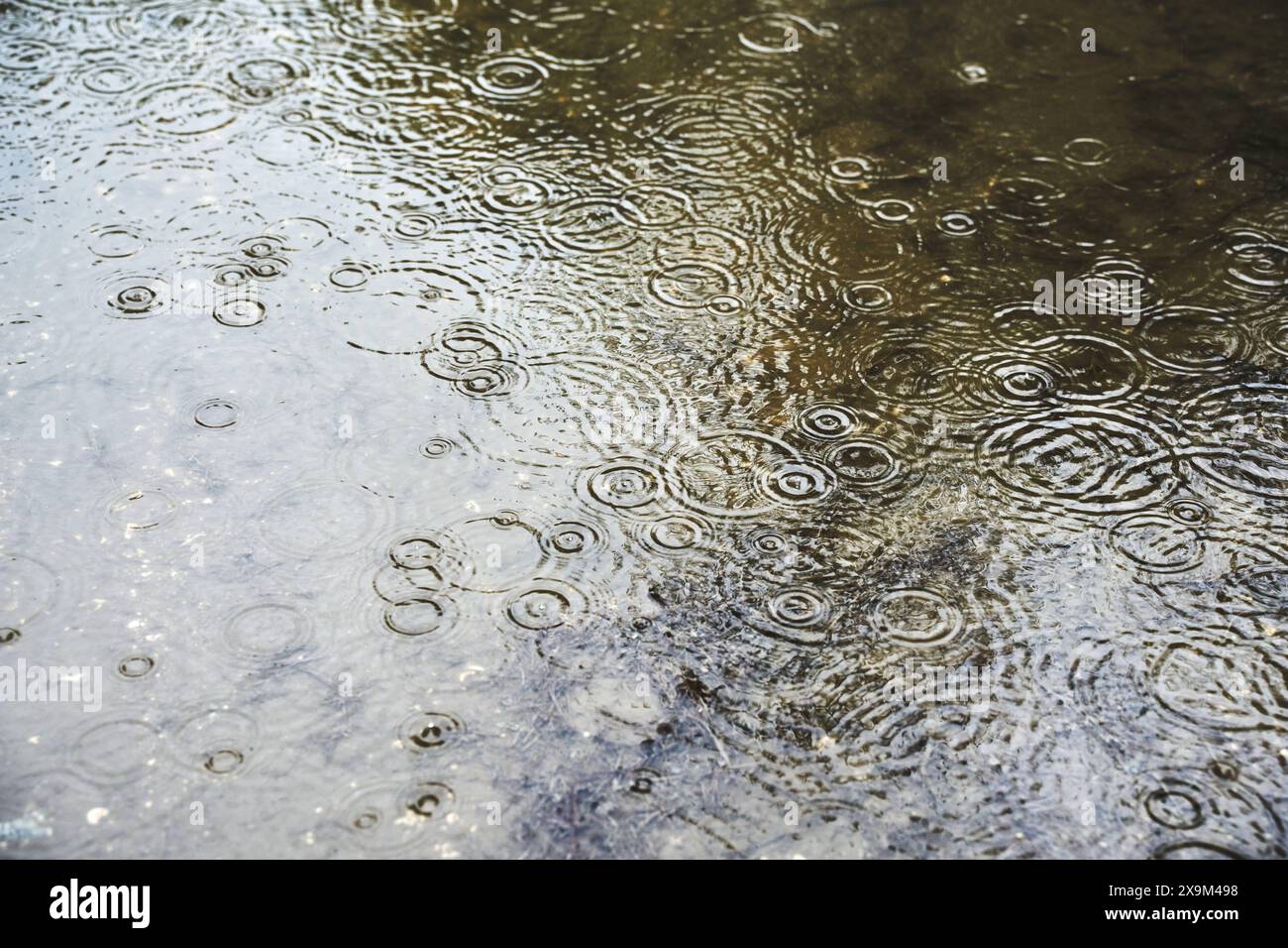 Regenringe hi-res stock photography and images - Alamy