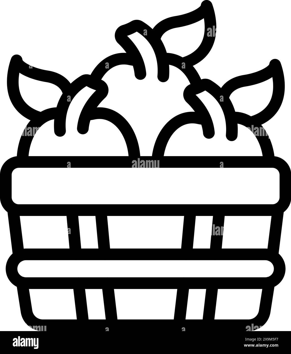 Digital line drawing of a basket full of stylized apples Stock Vector ...