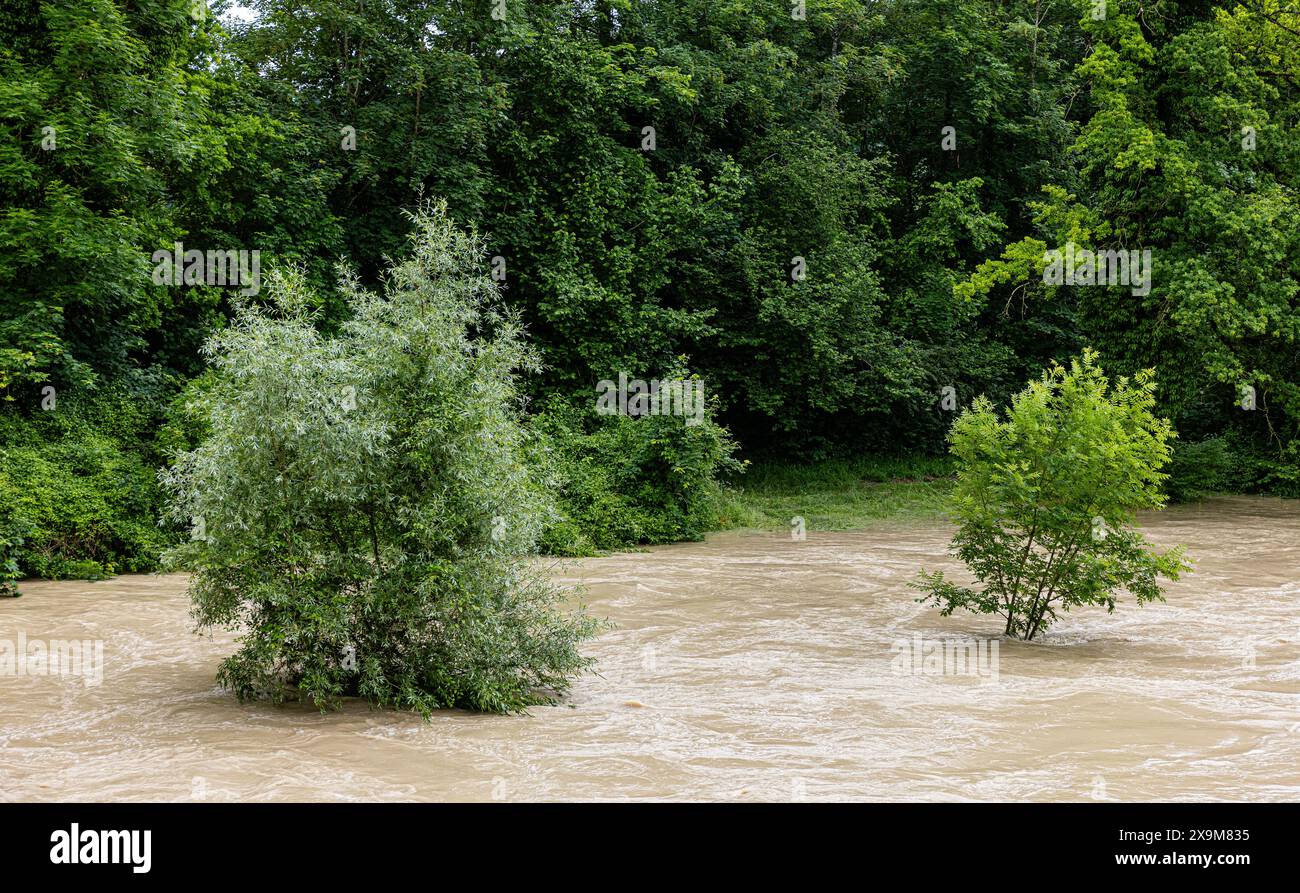 Kleinandelfingen, Switzerland, 1st Jun 2024: The Thur in the canton of ...