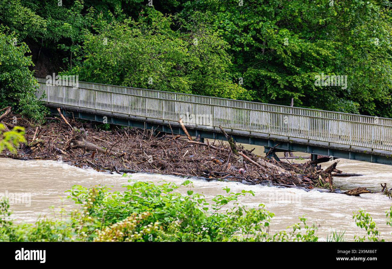 Freienstein-Teufen, Switzerland, 1st Jun 2024: Huge amounts of ...