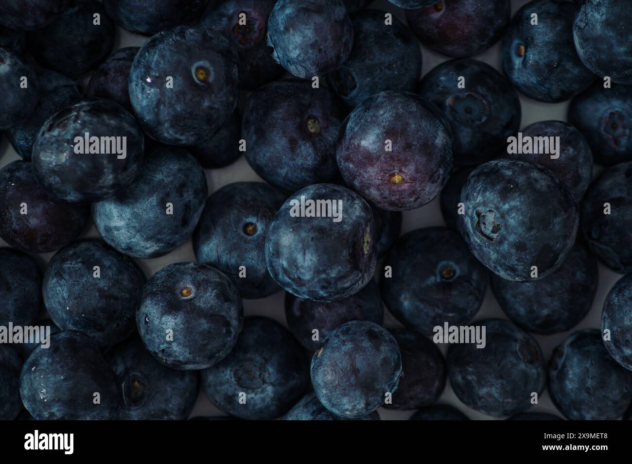 Fresh and ripe blueberries background. Minimal creative background and ...