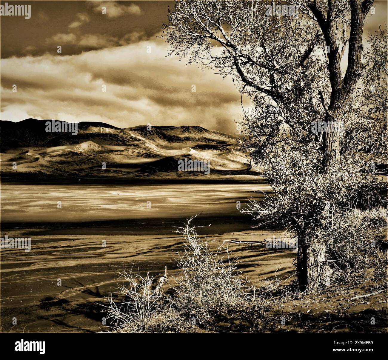 Sand dunes bronze tone hi-res stock photography and images - Alamy