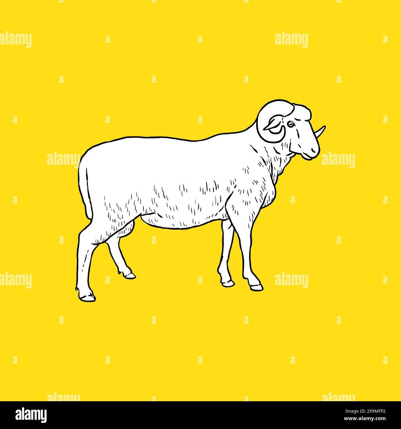 Vintage Sheep Side. Sketh and Drawing Style - Vector. Eid al-Adha ...