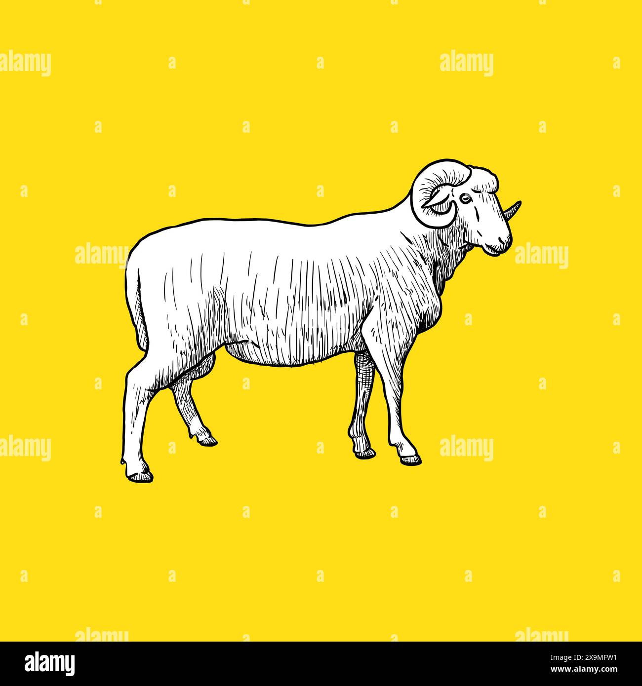 Vintage Sheep Side. Sketh and Drawing Style - Vector. Eid al-Adha ...