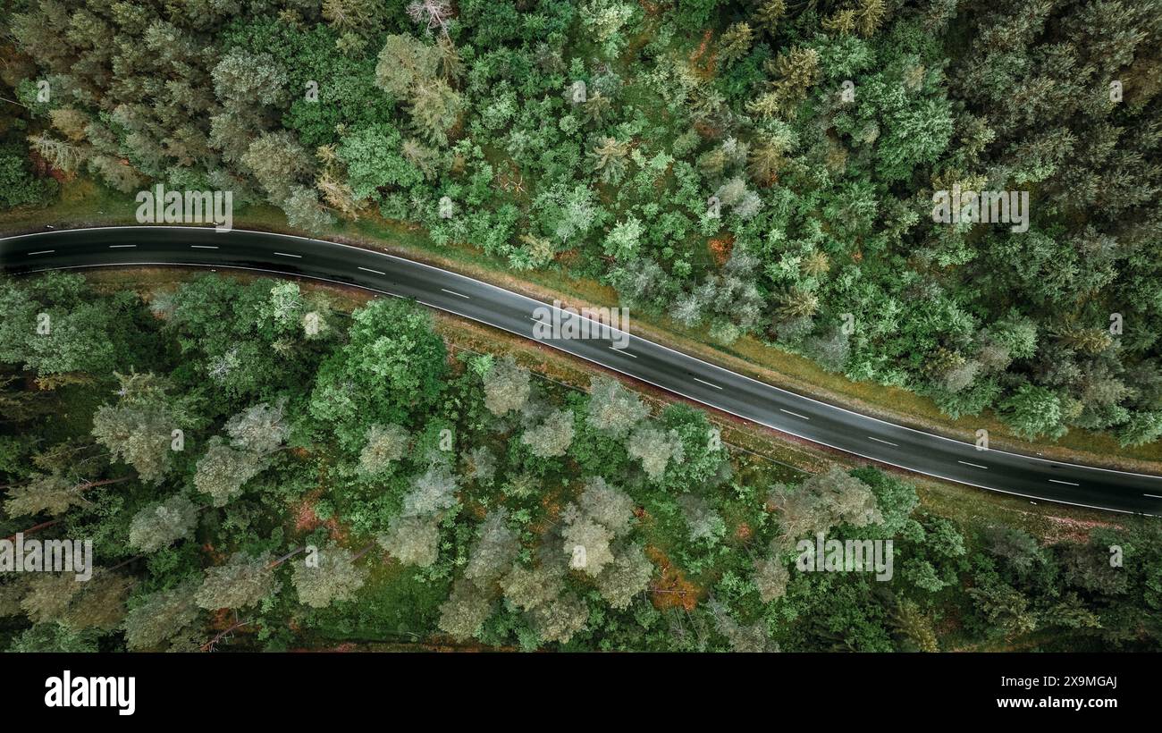 drone view, forest, road, aerial, landscape, nature, greenery, trees ...
