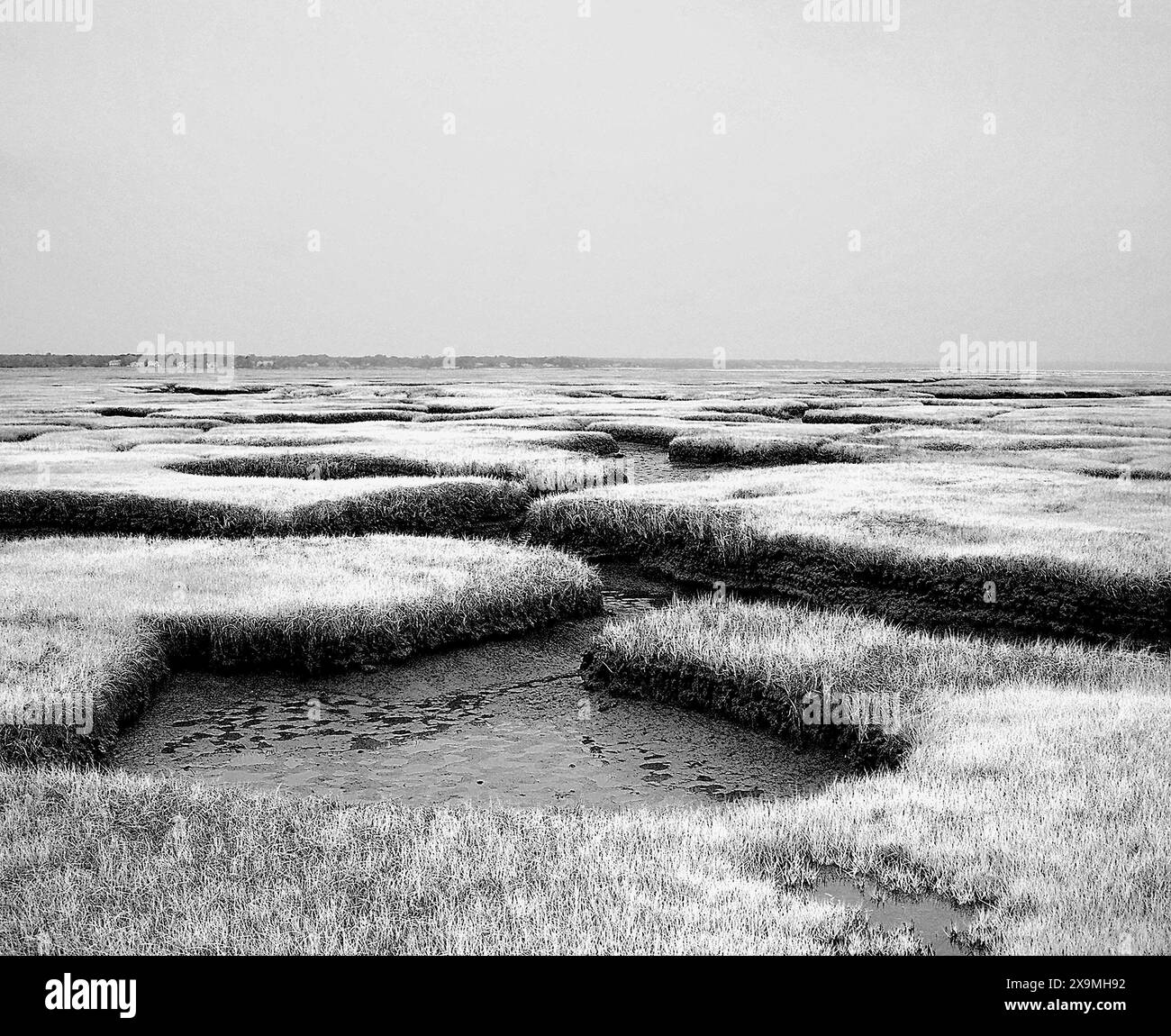 Cape Cod Salt Marshes Stock Photo - Alamy