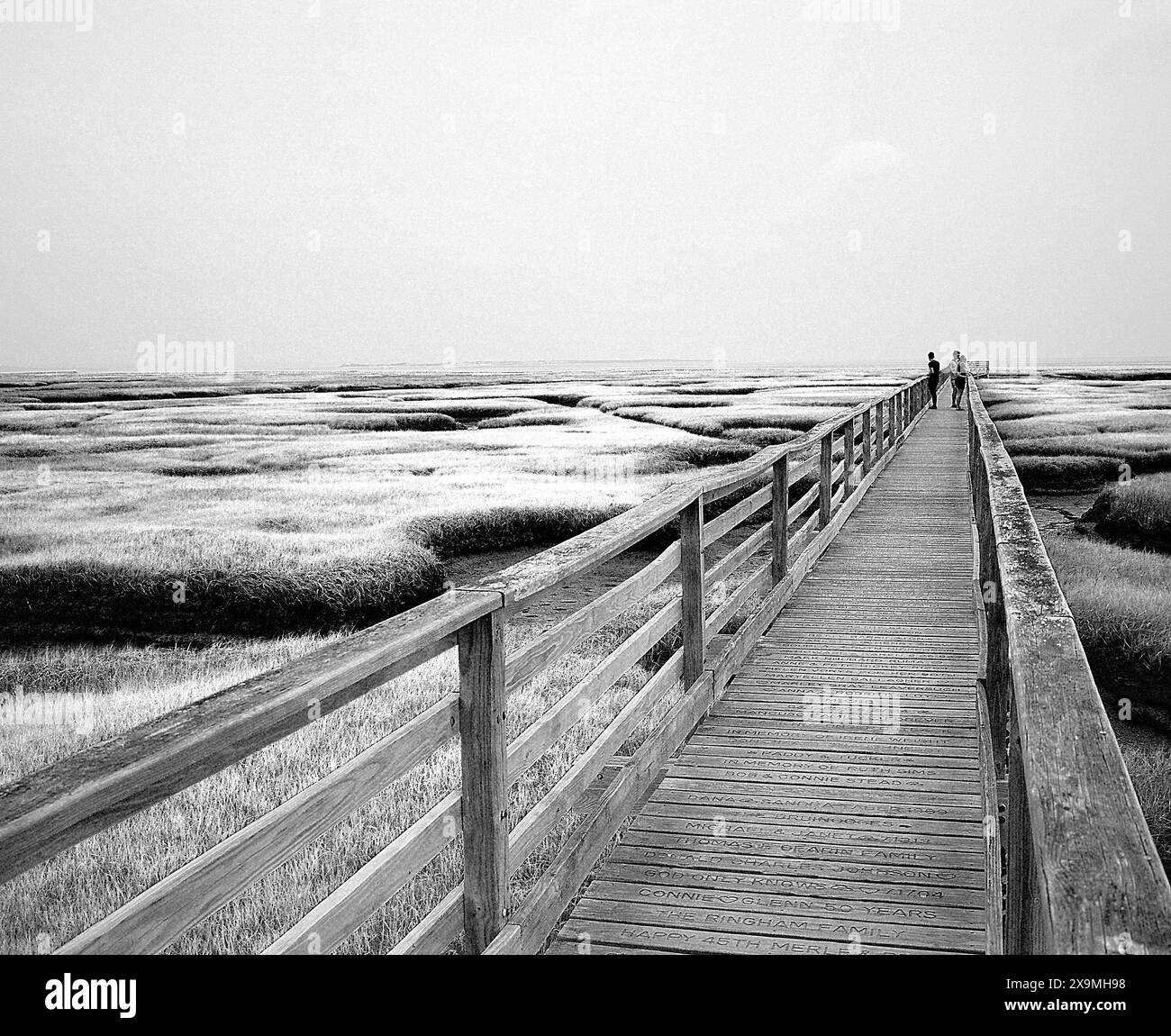 Cape Cod Salt Marshes Stock Photo - Alamy