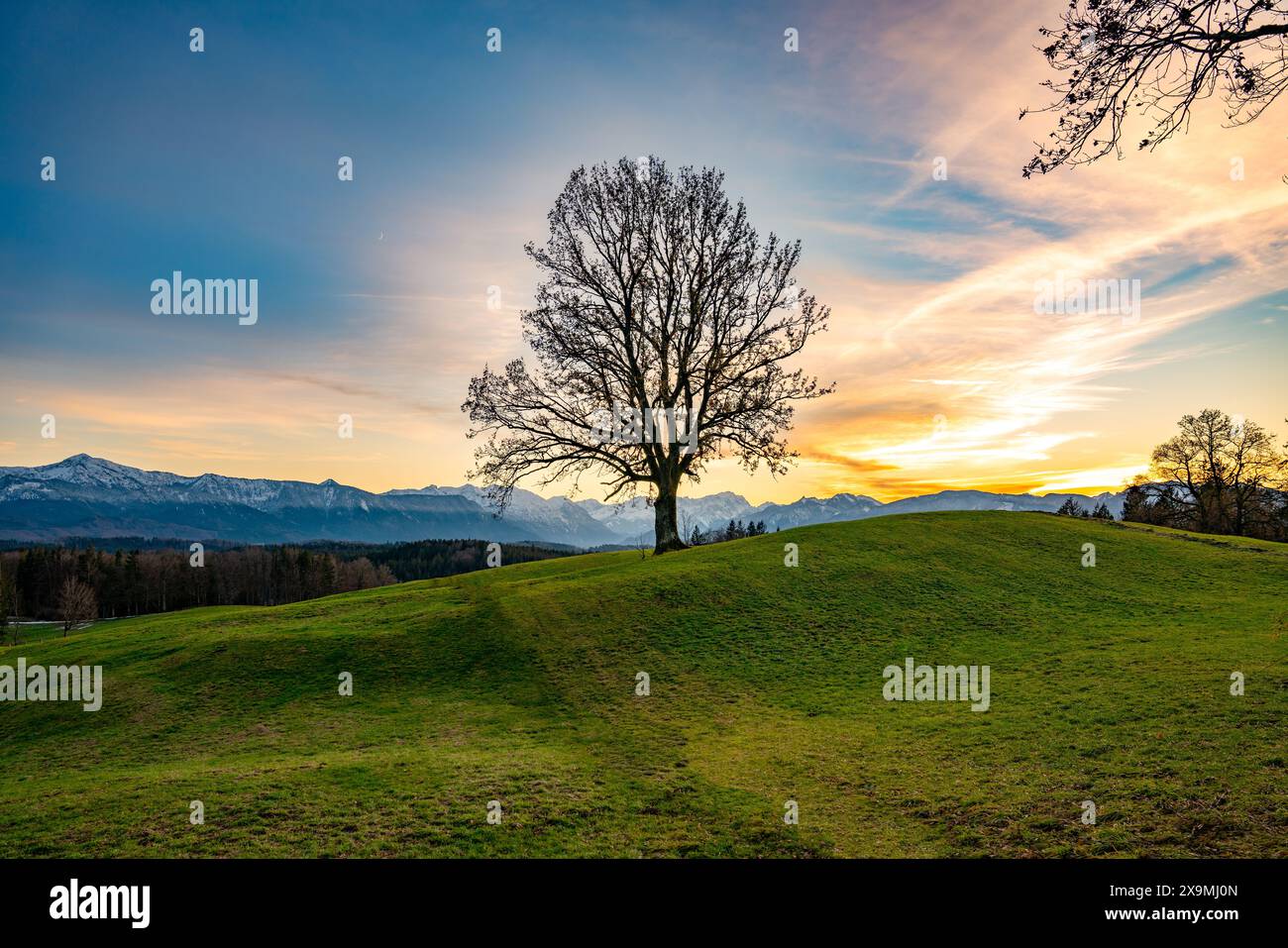 landscape, nature, forest, trees, hike, hiking, tree, trees, mountains ...