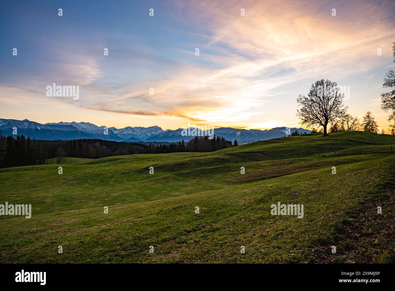 landscape, nature, forest, trees, hike, hiking, tree, trees, mountains ...