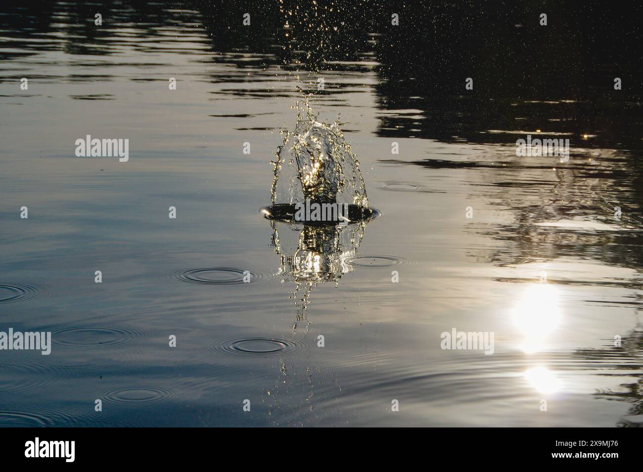water splash, lake, stone, throwing, ripples, water, outdoors, nature ...