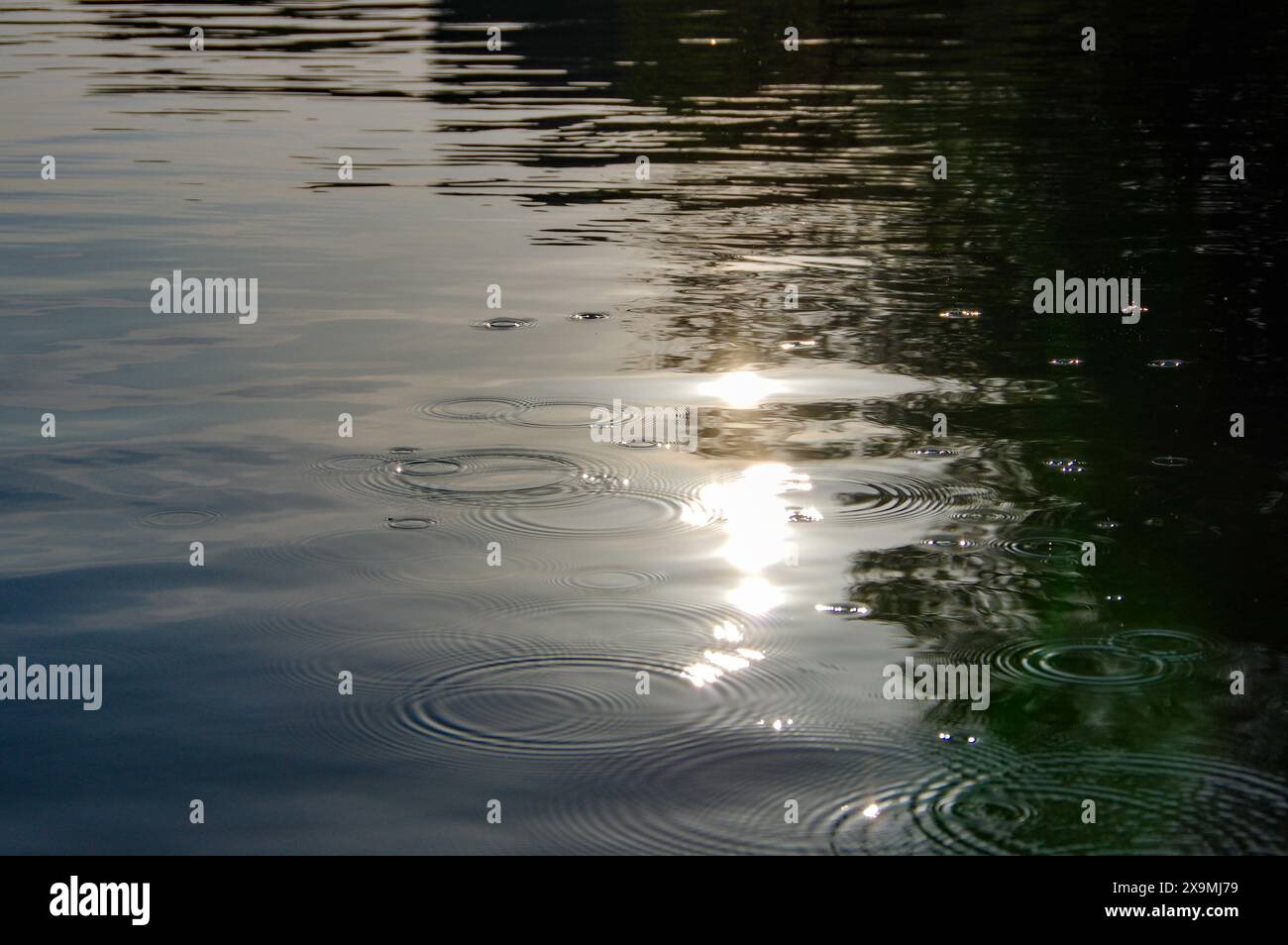 water splash, lake, stone, throwing, ripples, water, outdoors, nature ...
